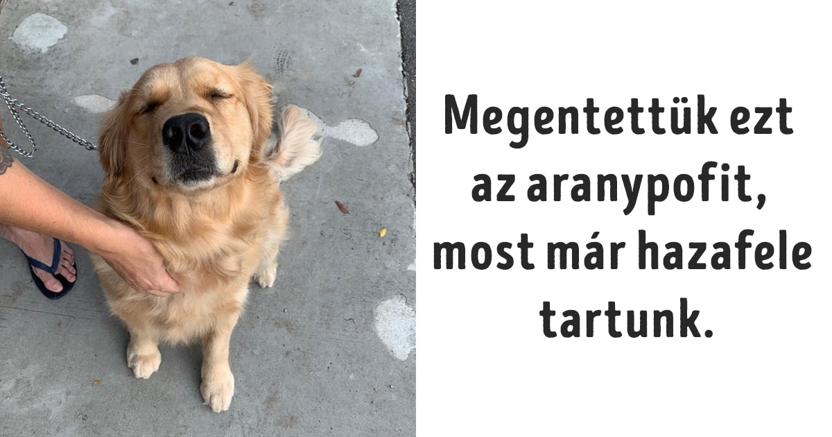 17 ember, aki nem tétovázott mikor látta, hogy egy állatnak segítségre ...